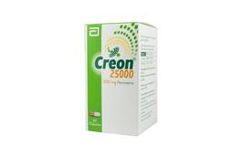 Creon 25 000 300mg Cápsula